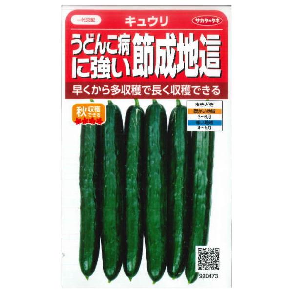 ★早くから多収穫で長く収穫できる