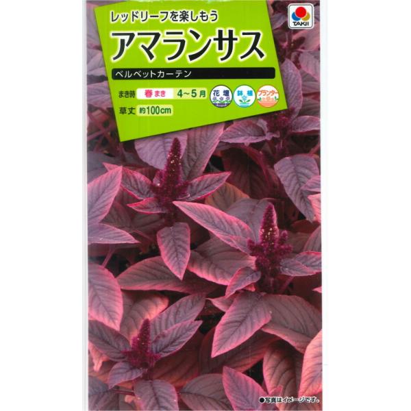 ★レッドリーフを楽しもう