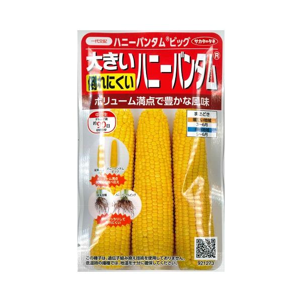 ★ボリューム満点で豊かな風味！