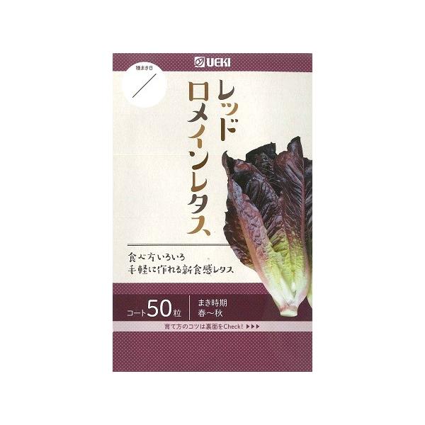 ★食べ方いろいろ手軽に作れる新食感レタス♪