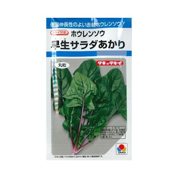 ★低温伸長性のよい赤軸ホウレンソウ