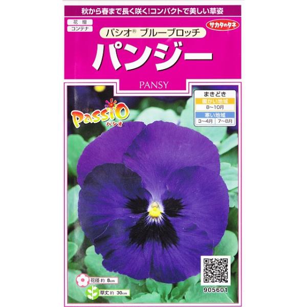 コンパクトで美しい草姿の大輪のパンジー