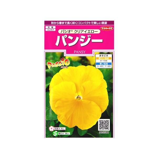 コンパクトで美しい草姿の大輪のパンジー
