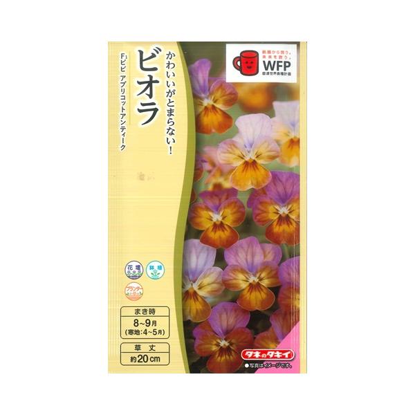 アプリコット色のグラデーションが楽しめます