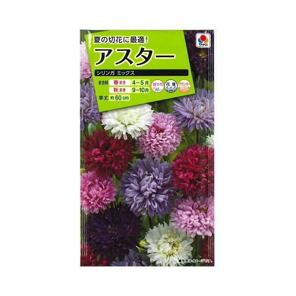 ★夏の切り花に最適！