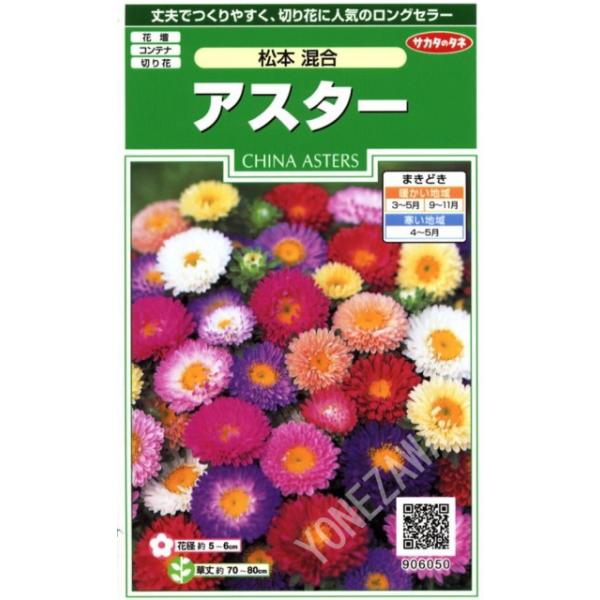 ★丈夫でつくりやすく、切り花に人気のロングセラー
