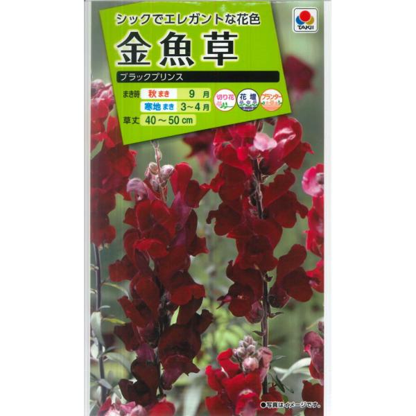 ★シックでエレガントな花色