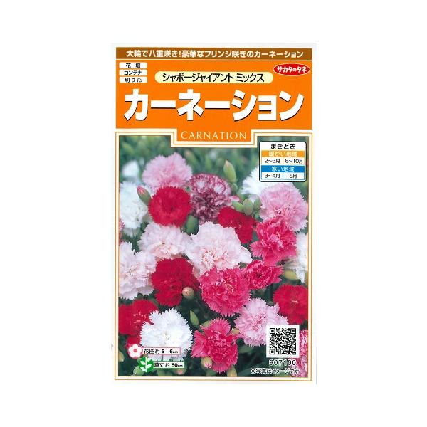 ★タネから育てられるカーネーション