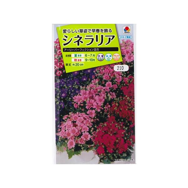 ★極早生矮性種アーリーパーフェクション混合