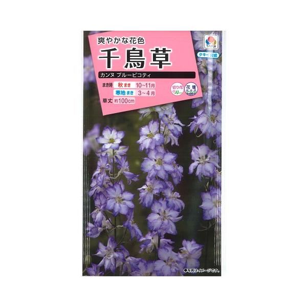 ★雄大な花穂に色鮮やかな花が密生