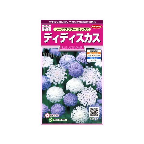 ★半手まり状に咲くやわらかな印象の淡色花