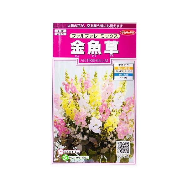 ★大輪の花が　空を舞う蝶にも見えます！