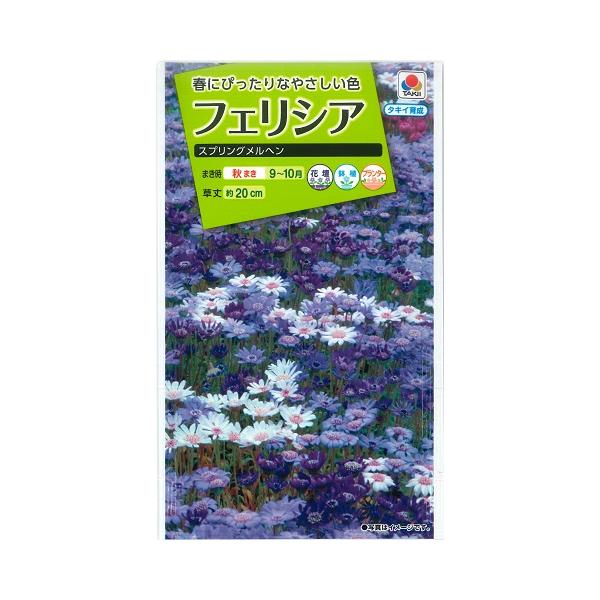 ★パステル調の爽やかな花色の混合種