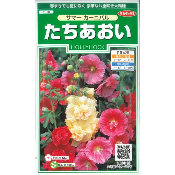 ★春まきでも夏に咲く　豪華な八重咲き大輪種