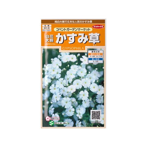 ★純白大輪で丈夫な人気のかすみ草