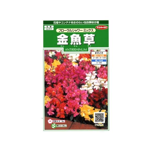 ★花壇やコンテナ向きのわい性四季咲き種