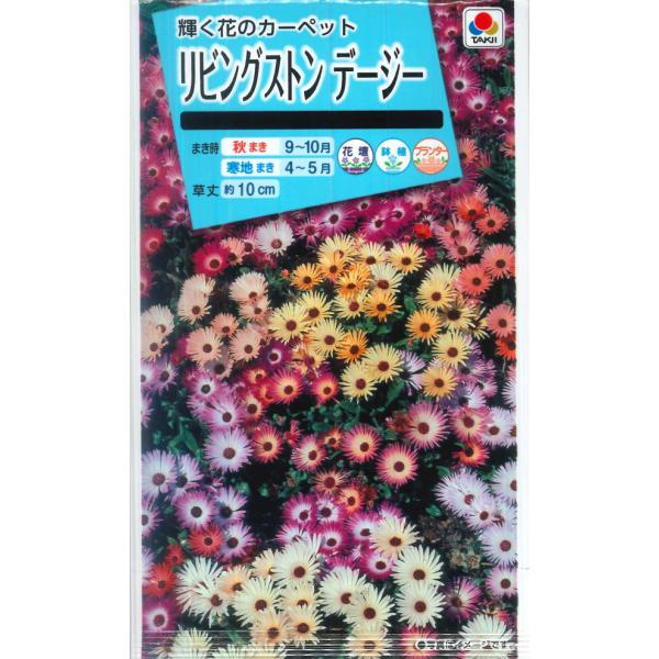 ★光沢のある美しい花 日をうけて花開く多肉植物