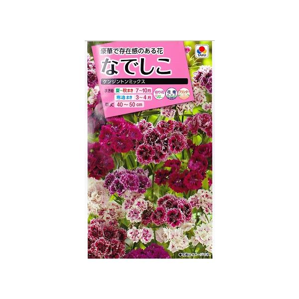 ★エレガントな切り花が楽しめる