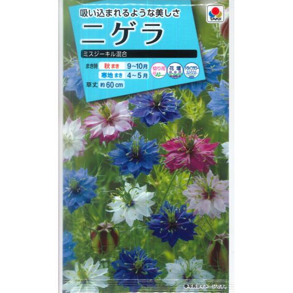 ★丈夫で育てやすく切り花・ドライフラワーとしても楽しめます