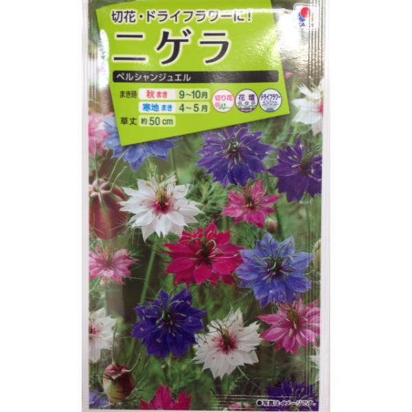 【ニゲラ（黒種草）】ペルシャンジュエル【タキイ】（1.5ml）【暖地秋まき】【耐寒性一年草】[秋まき]