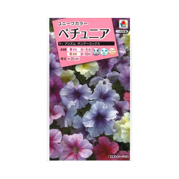 ★ユニークカラーペチュニア