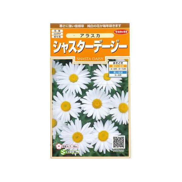 ★寒さに強い宿根草！毎年咲きます！秋まきは翌々年開花