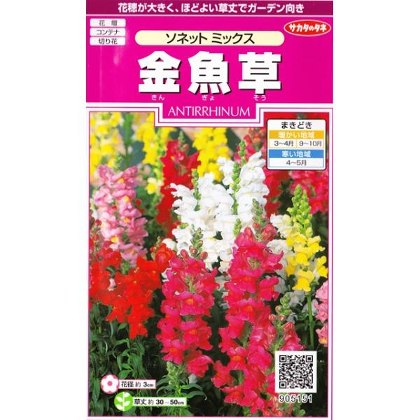 ★花穂が大きく、ほどよい草丈でガーデン向き！