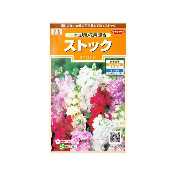 ★香りの強い大輪の花が重ねて咲くストック