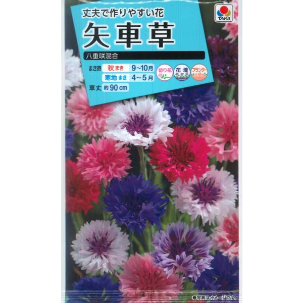 ★丈夫で作りやすい花