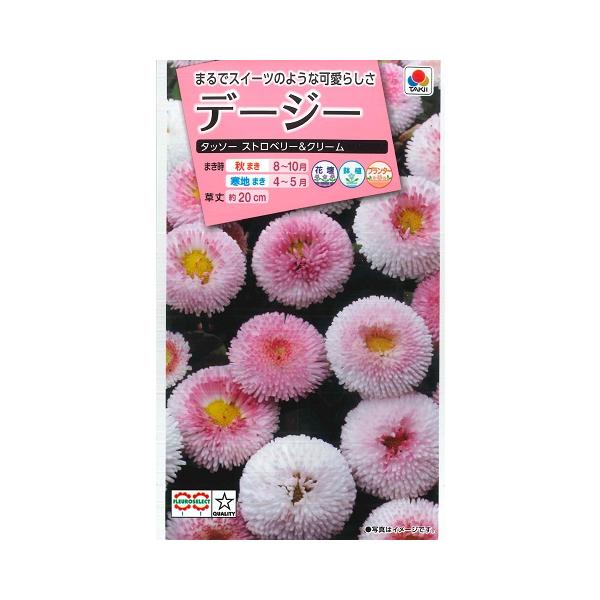 ★まるでスイーツのような可愛らしさ