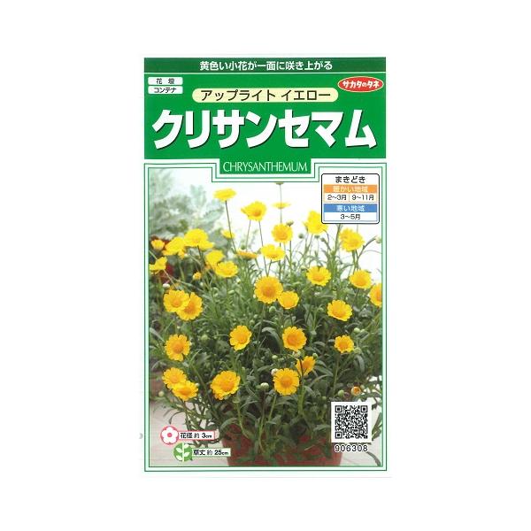 ★黄色い小花が一面に咲きあがる