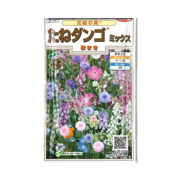 みんなでダンゴつくり！順次開花で長く楽しめます