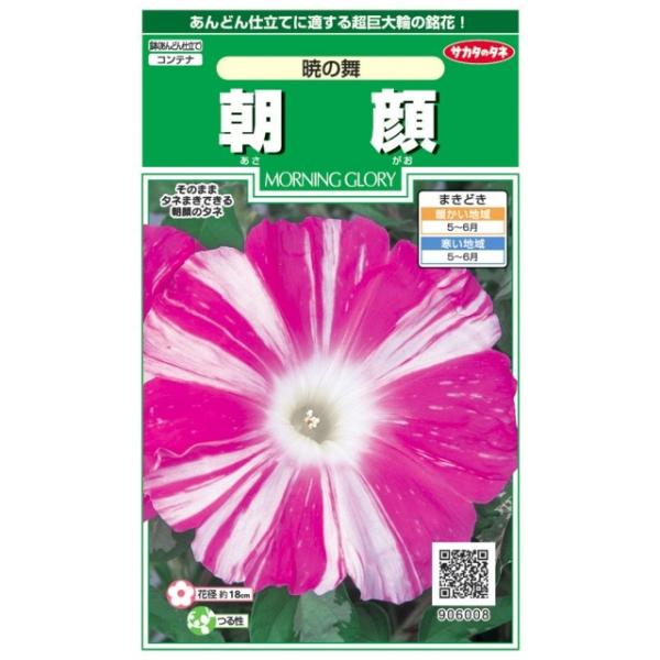 ★あんどん仕立てに適する超巨大輪の銘花！