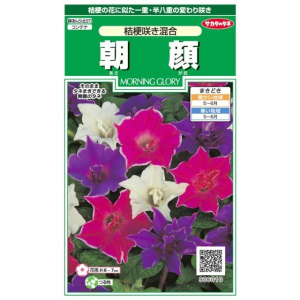 ★桔梗の花に似た一重・半八重の変わり咲き