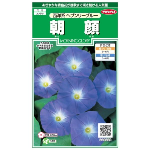 ★あざやかな青色花が晩秋まで咲き続ける人気種