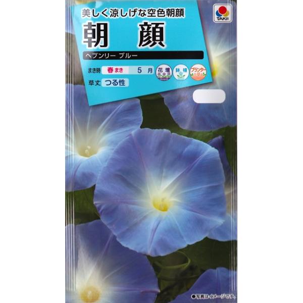 ★青色の晩秋まで咲き続ける人気種
