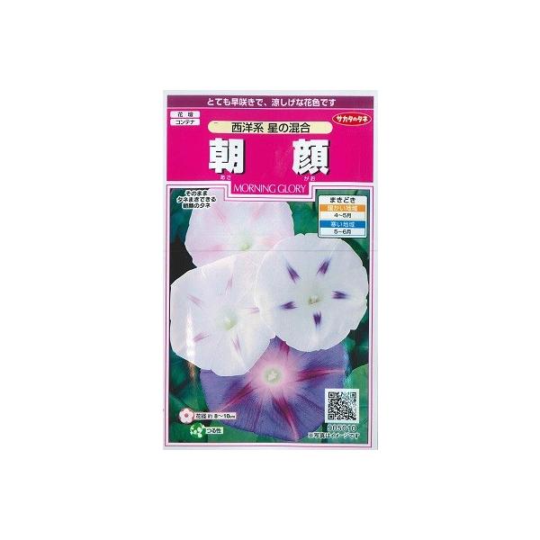 ★とても早咲きで、涼しげな花色です