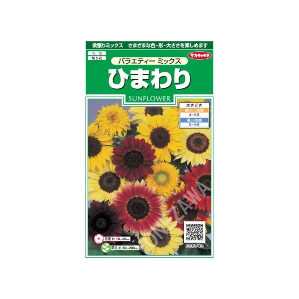 ★欲ばりミックス!さまざまな色形大きさを楽しめます