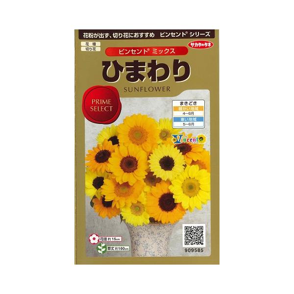 ★花粉が出ず切り花に〜ビンセントシリーズ