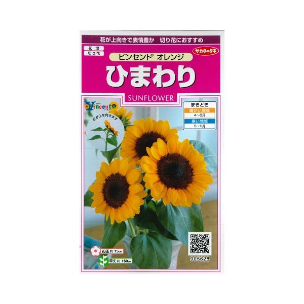 ★花粉が出ず切り花に〜2011新発売のビンセントシリーズ
