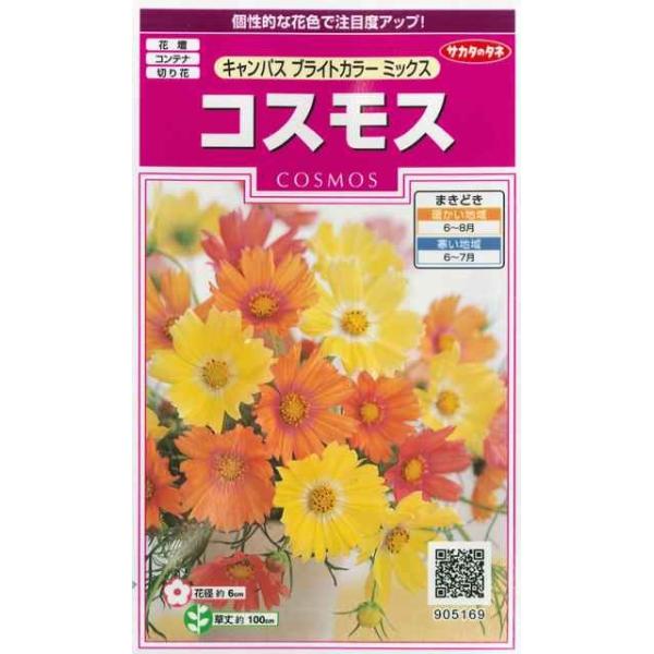 ★個性的な花色で注目度アップ！