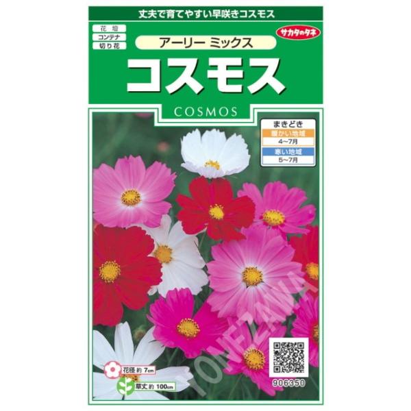 ★丈夫で育てやすい早咲きコスモス