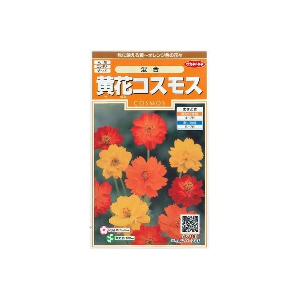 ★秋に映える花々