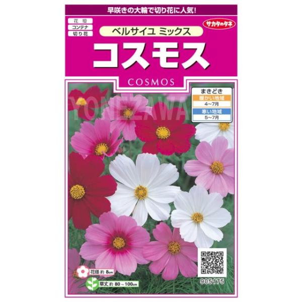 ★早咲きの大輪で切り花に人気！