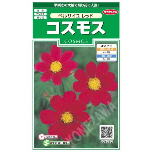 ★早咲きの大輪で切り花に人気！
