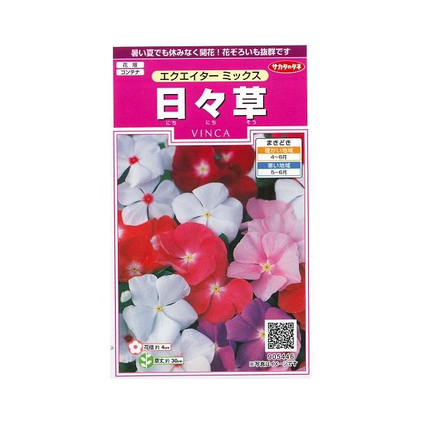 ★暑い夏でも休みなく開花