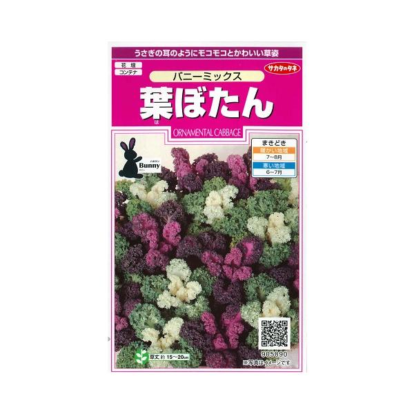 ★ウサギの耳のようにモコモコ