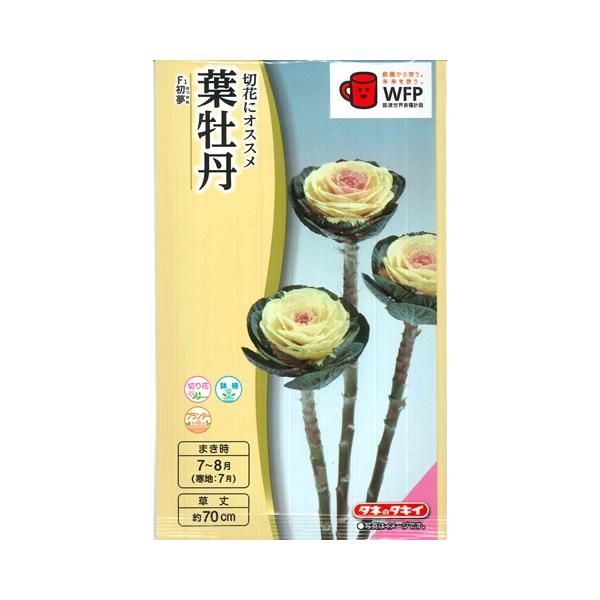 ★画期的な高性切花用葉牡丹！