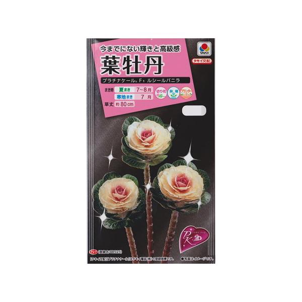 ★メタリックな光沢葉！プラチナケール