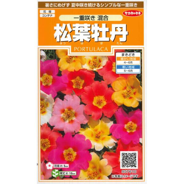 ★暑さにめげず夏中咲き続けるシンプルな一重咲き